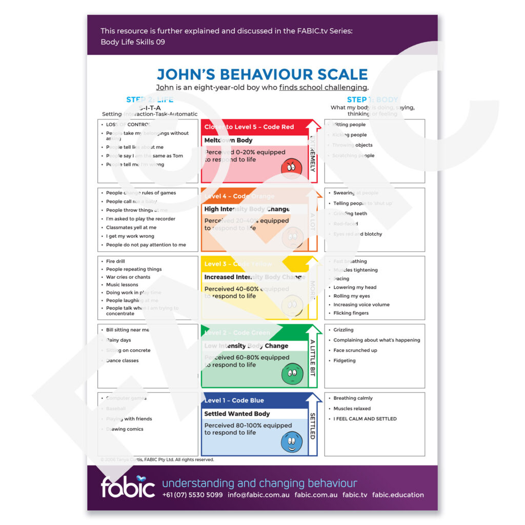 Poster 24 – Behaviour Scale Example 1: John - FABIC | Behaviour Specialists