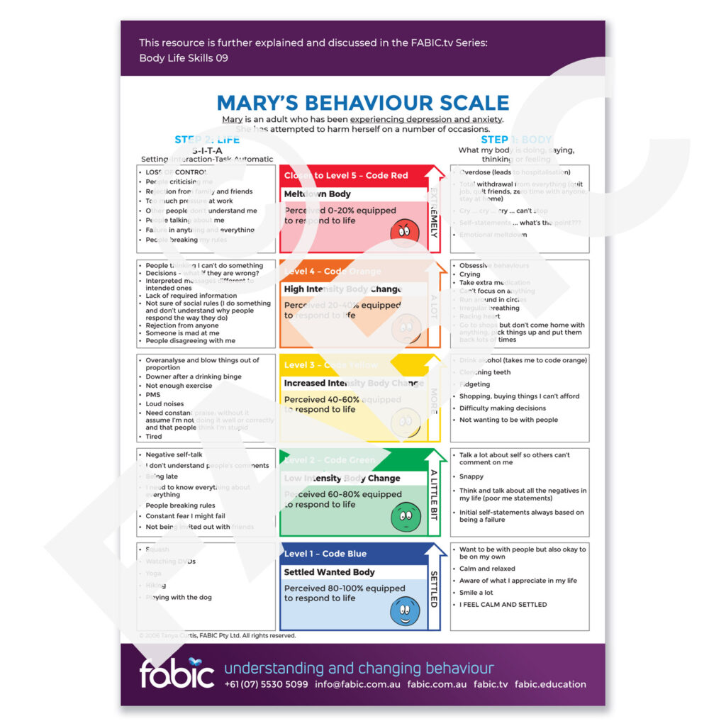 Poster 25 – Behaviour Scale Example 2: Mary - FABIC