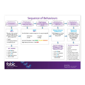 Sequence of Behaviours - Fabic | Behaviour Specialists