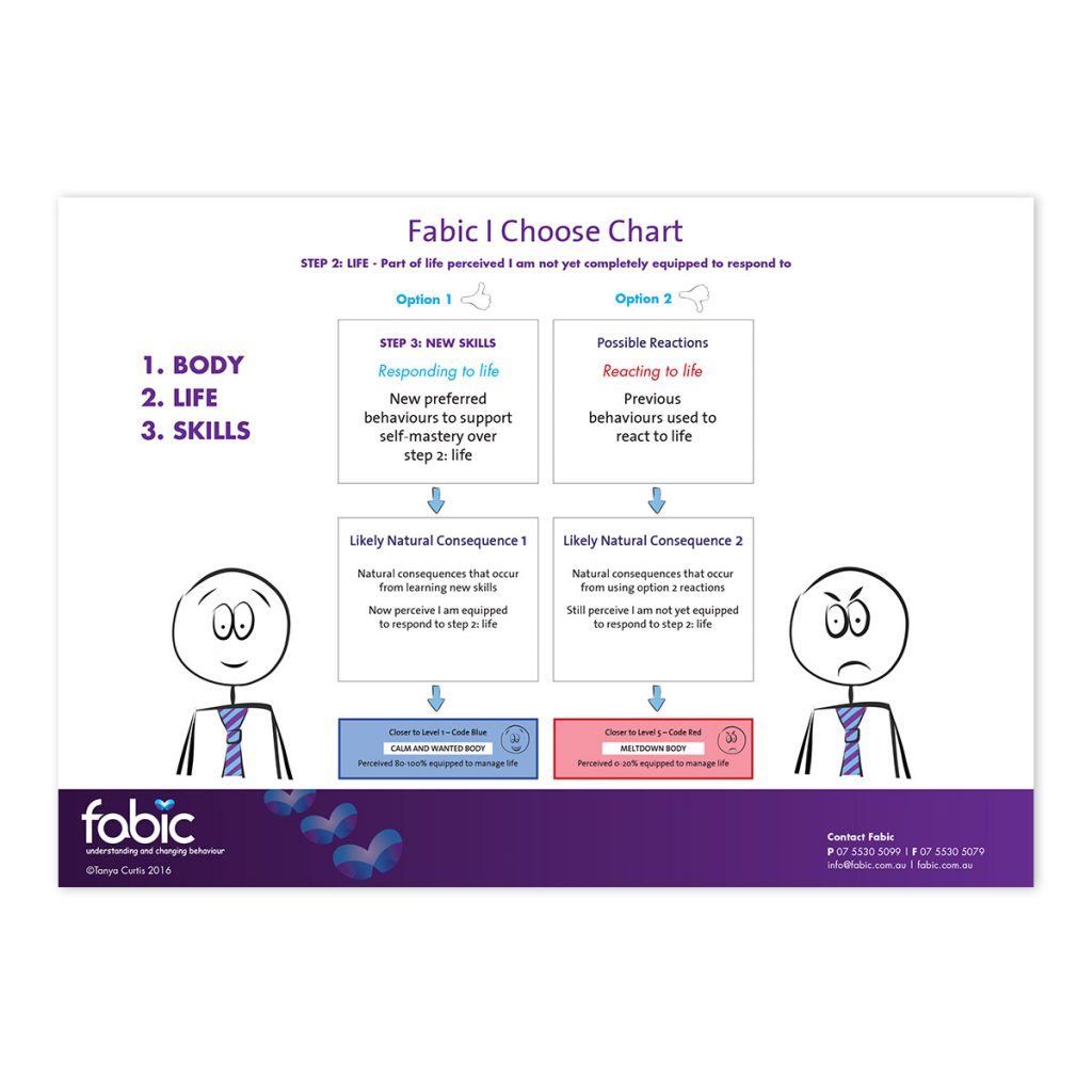 I Choose Chart - A Visual Description - Fabic | Behaviour Specialists I Choose Chart - A Visual Description - Fabic | Behaviour Specialists