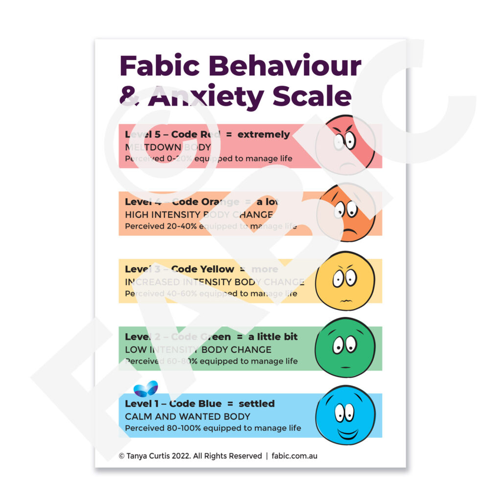 Full Pack of Communication Cards - FABIC