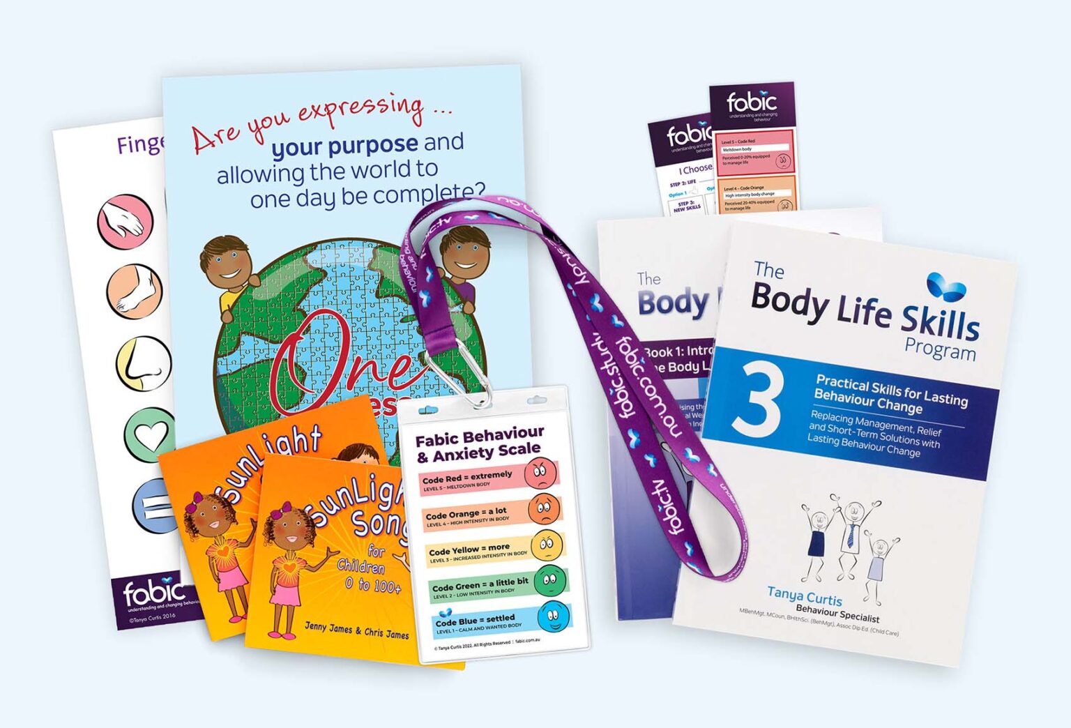 Behaviour Support Practitioner | Positive Behaviour Support | Fabic