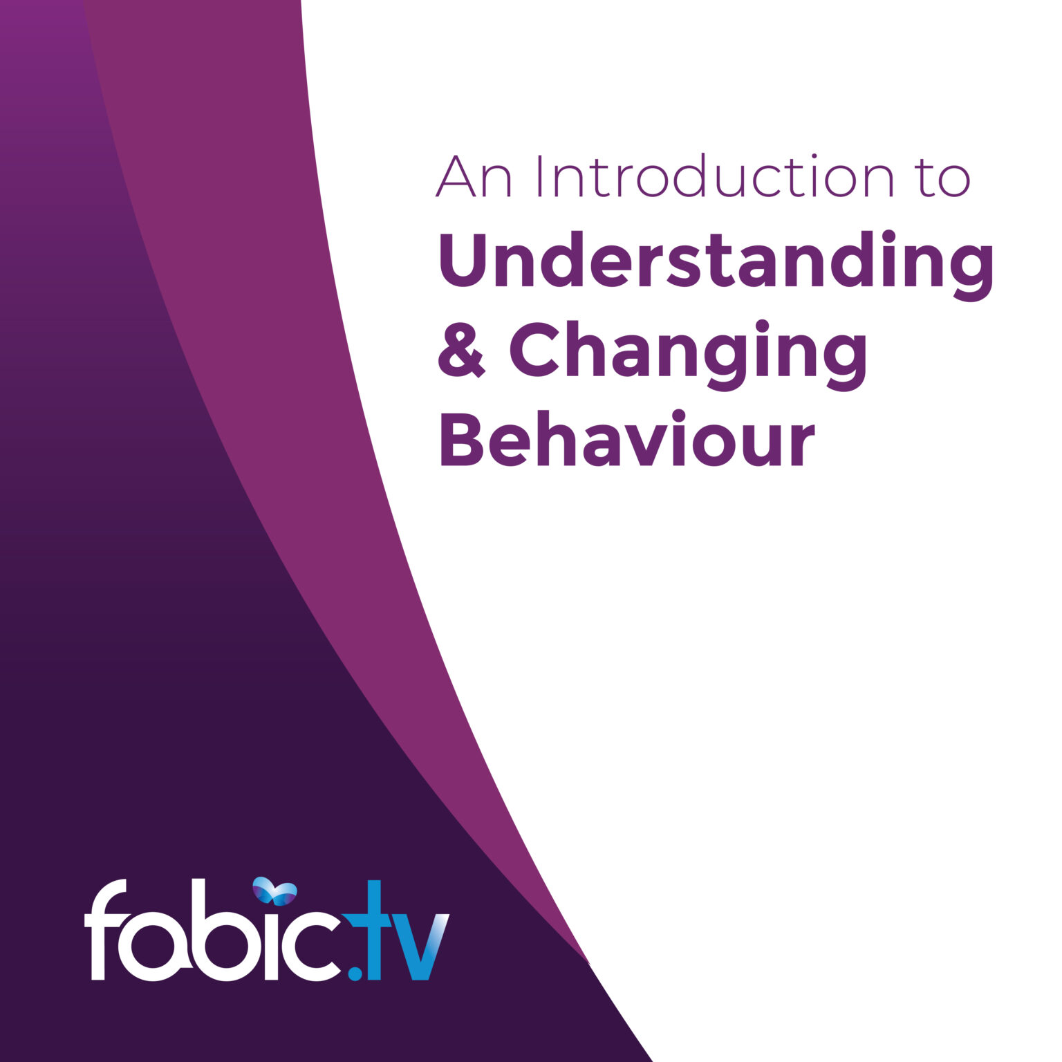 An Introduction to Understanding and Changing Behaviour - FABIC ...